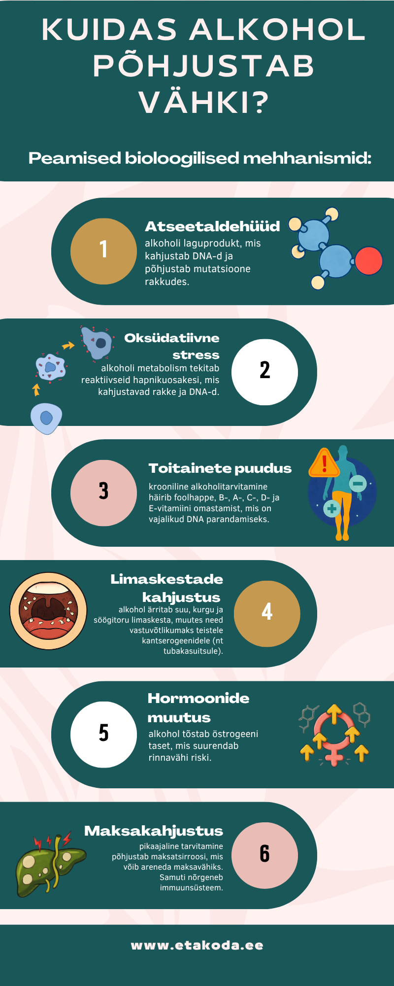 Alkohol ja vähk – ETAK